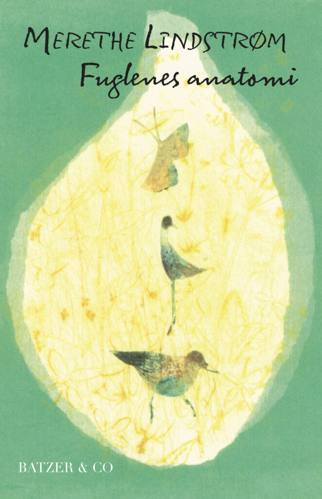 Fuglenes anatomi - Batzer